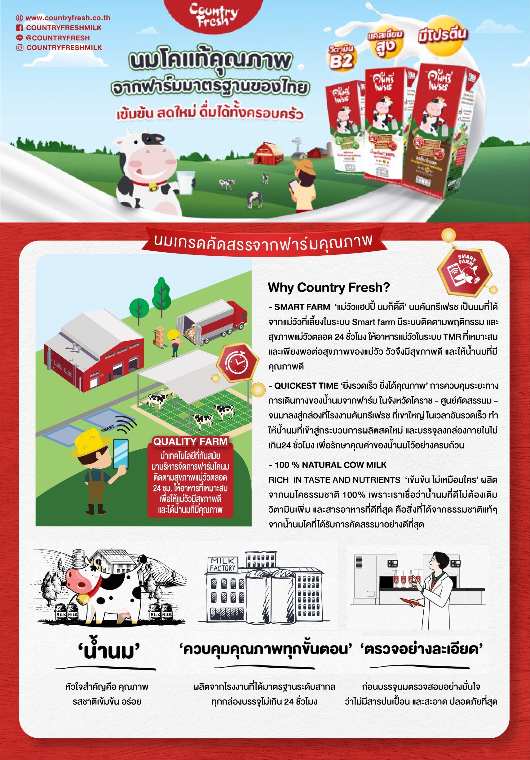 Country Fresh Milk, ร้านค้าออนไลน์ | Shopee Thailand