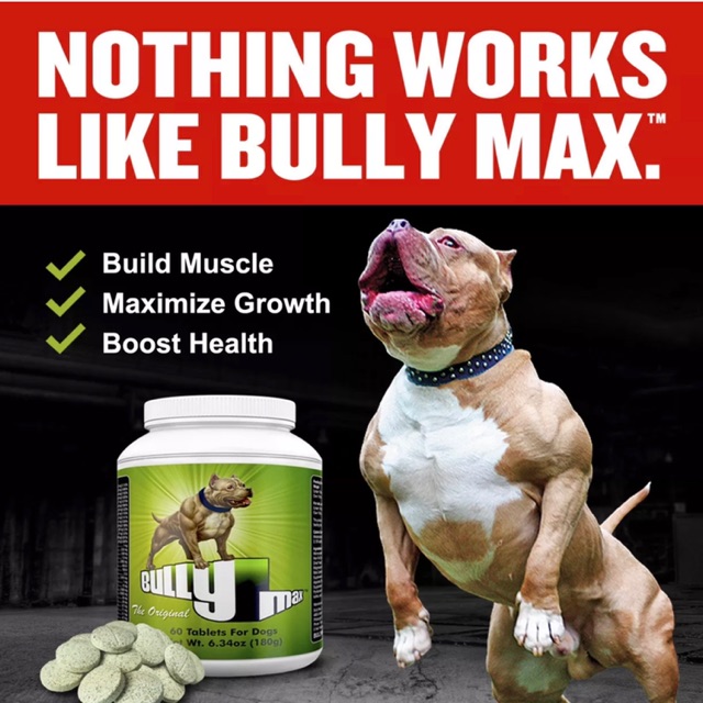 Bully Max Muscle Builder อาหารเสริมกล้ามเนื้อสุนัข โปรตีนสกัดสำหรับ ...