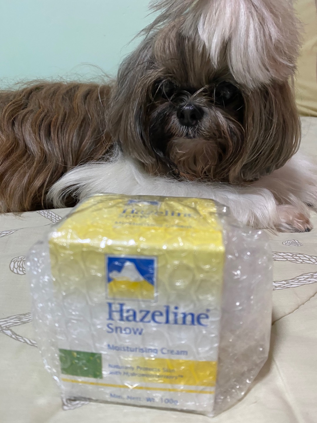 Hazeline Snow Moisturising Cream 100 G ** ครีมเฮสลีน สโนว์ 100 กรัม ...