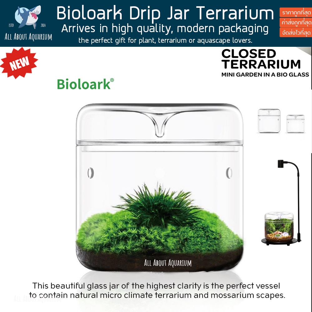 Bioloark ถูกที่สุด พร้อมโปรโมชั่น ก.ค. 2022|BigGoเช็คราคาง่ายๆ