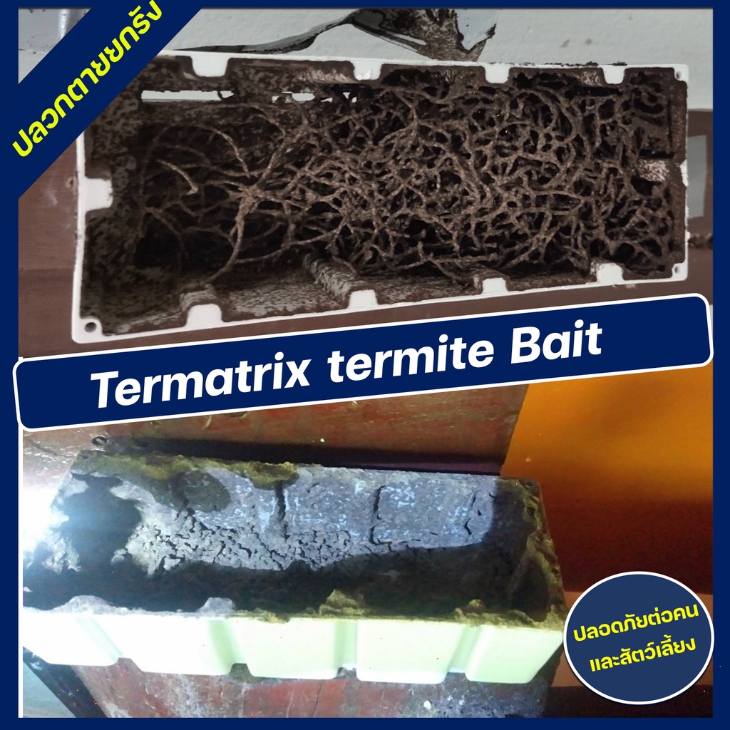 เหยื่อกำจัดปลวก Termatrix เหยื่อปลวก อาหารปลวก ชุดสำหรับติดตั้งครั้งแรก - 225.termite_shop ...