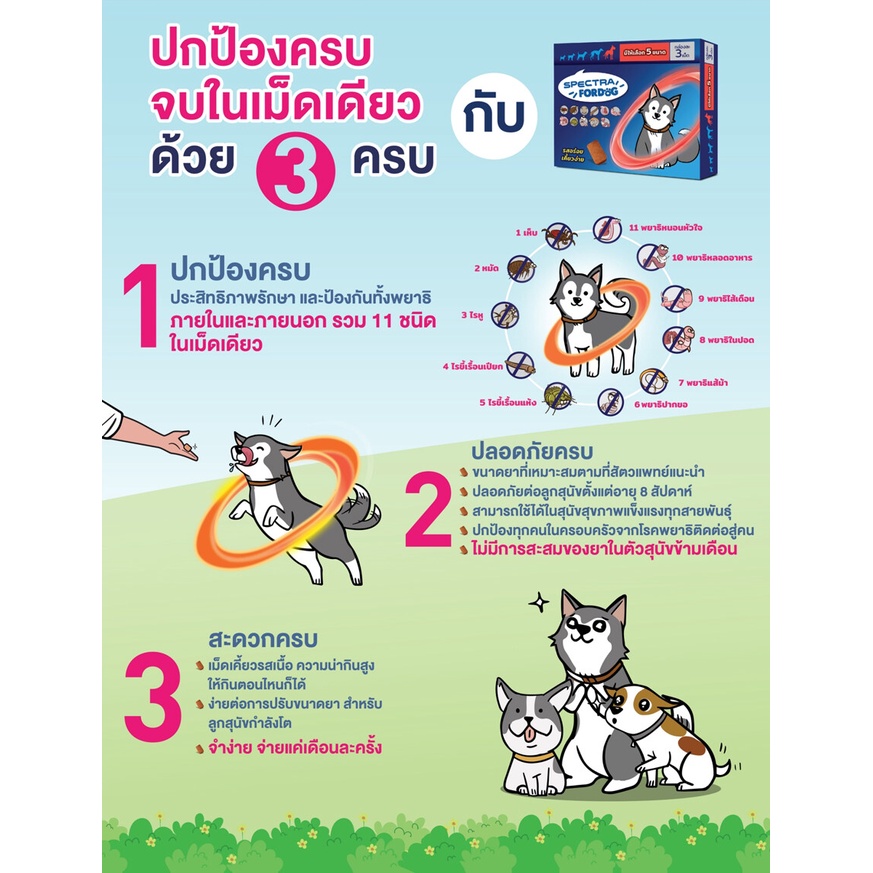 Nexgard Spectra Dog สำหรับสุนัข 1กล่อง 3 เม็ด Sale NG SPECTRA spectra ...