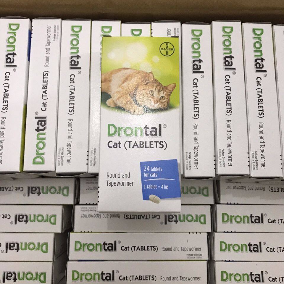 Drontal Cat Bayer Exp.62025 ดรอนทัล แคท สำหรับ แมว cat (24 เม็ดtablets) - o797habbci - ThaiPick