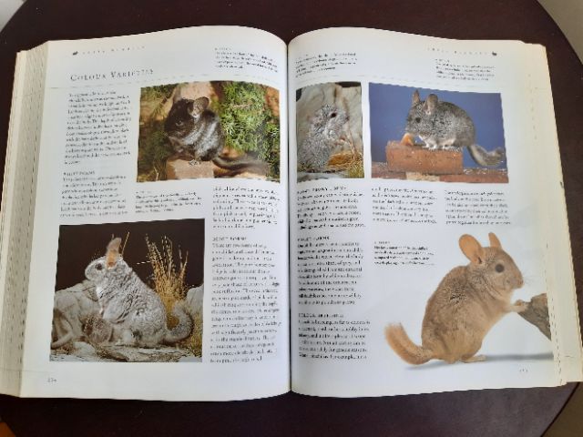 THE COMPLETE BOOK OF PETS PETCARE หนา 512 หน้า - moomproad.book - ThaiPick