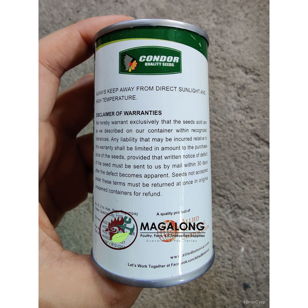 จุดประเทศไทย CONDOR SEEDS - CALABASA SEEDS - AVIDA F1 HYBRID 120 Seeds ...