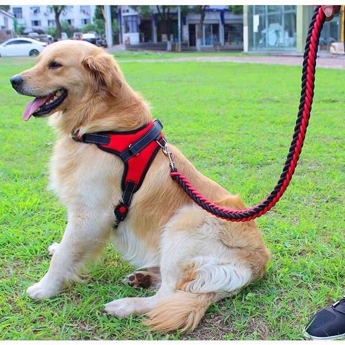 Golden Retriever Chain สายคล้องคอสายจูงสุนัขสายจูงสุนัขขนาดใหญ่สายจูง ...