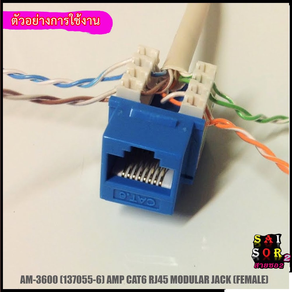 AMP CAT6 RJ45 Modular Jack (ตัวเมีย)เต้ารับหัวแลนcat6ตัวเมียจำหน่าย10 ...
