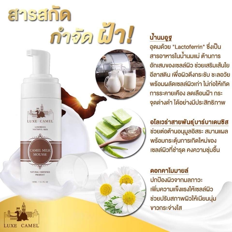 นมอูฐล้างหน้า Luxe Camel Milk Amazing Mousse ลุกซ์ คาเมล คาเมล มิลค์ อเมซิ่ง มูส ...