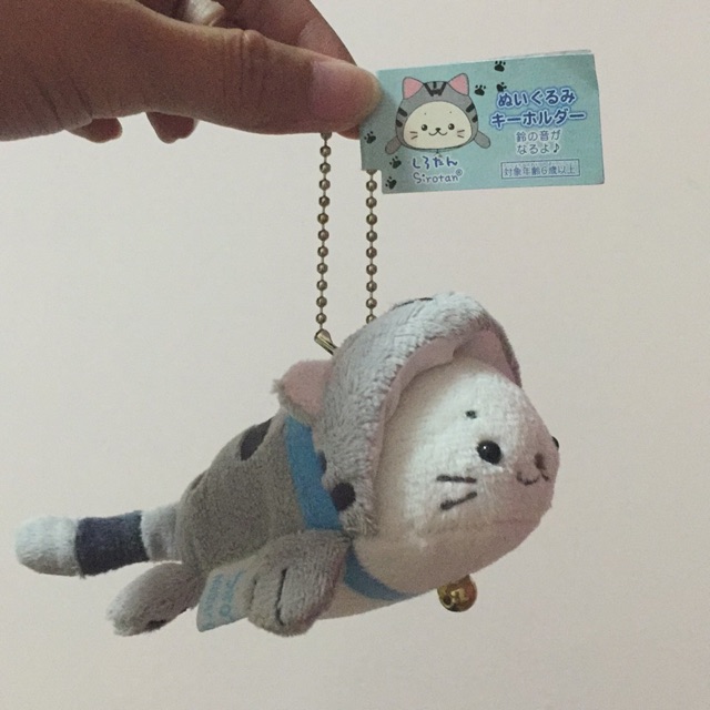 Shirotan ถูกที่สุด พร้อมโปรโมชั่น - พ.ย. 2021 | BigGo เช็คราคาง่ายๆ