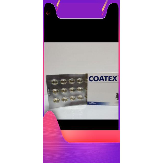 Coatex 60 capsules หมดอายุ 122023 อาหารเสริมบำรุงผิวหนังและขนสุนัขและ ...
