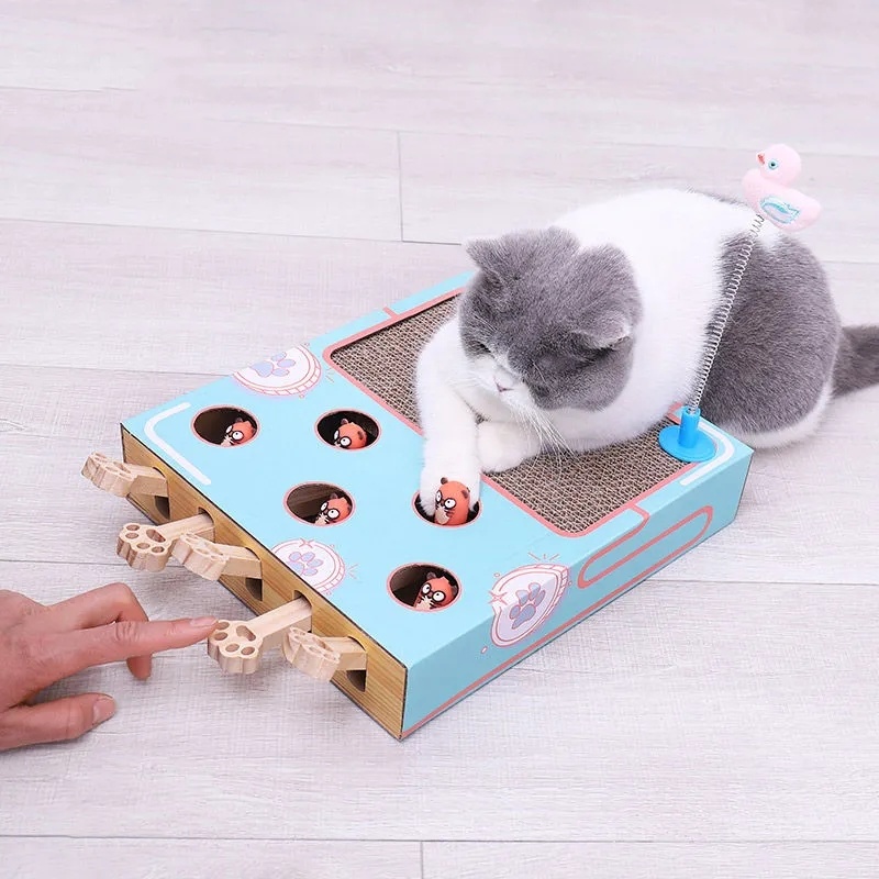 2021NEW Cat Toy Chase Hunt Mouse Cat Game Box 3 in 1 with Scratcher ...