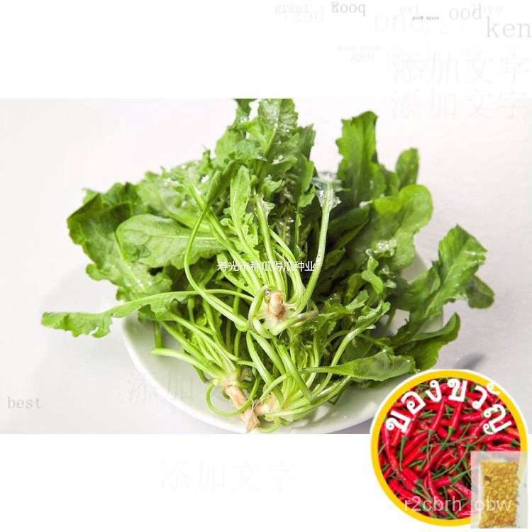 Wild Big Leaf Vegetable Seed Vegetable Seeds Balcony Vegetable Four ...