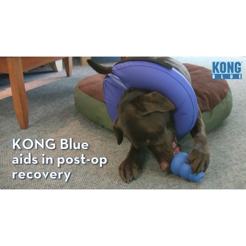 Kong Blue ของเล่นสุนัข - petstation - ThaiPick