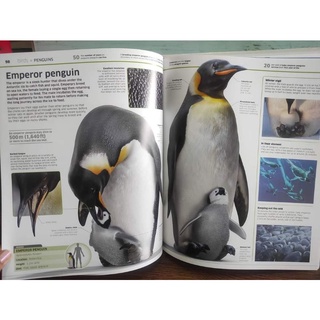 (New) DK knowledge Encyclopedia Animal | Shopee Thailand