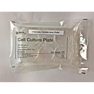 6 well plate (Cell Culture Plate) 6 หลุม | Shopee Thailand