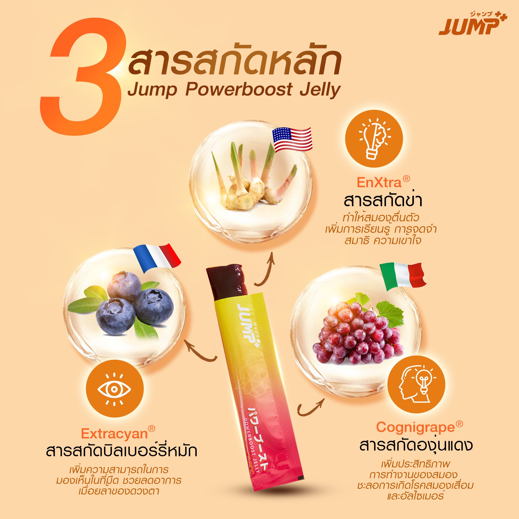 Jump.brand, ร้านค้าออนไลน์ | Shopee Thailand