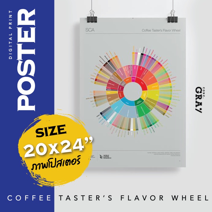 Poster The Coffee Taster's Flavor Wheel ขนาด 20x24 นิ้ว โปสเตอร์ (ไม่มี ...