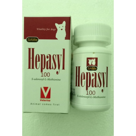 Hepasyl 100 SAMe บำรุงตับ 30เม็ด | Shopee Thailand