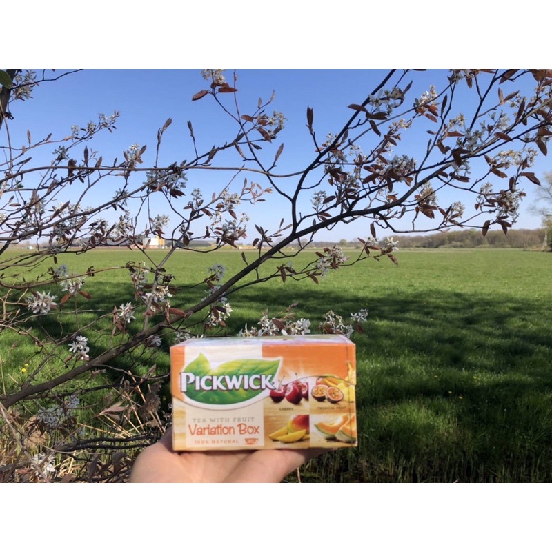 ชาผลไม้หลากรส ธรรมชาติแท้ 100 Pickwick Tea With Fruit Variation Box 100 ...
