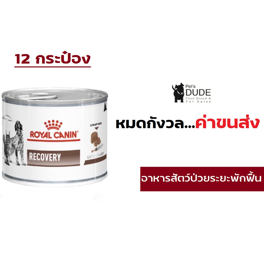 Royal Canin Recovery Cats Dogs อาหารสุนัข แมว สัตว์ป่วยพักฟื้น กระป๋อง ...