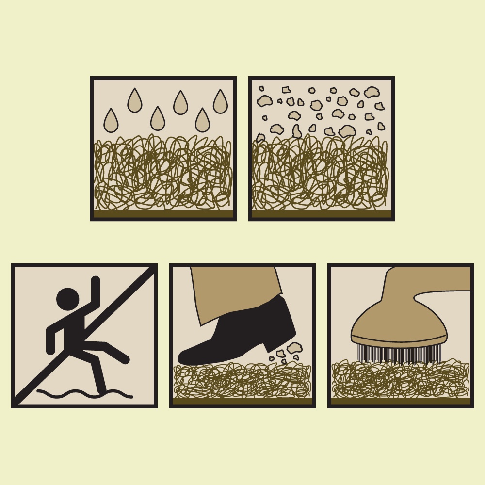 WSP พรมดักฝุ่น Spider Mat ขนาด 80x122cm. รุ่นBM-100C - wsp_bath - ThaiPick