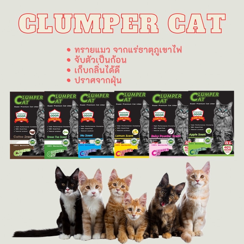 Clumper cat ทรายแมวภูเขาไฟ ปราศจากฝุ่น ดับกลิ่นดีเยียม เบนโทไนล์ ขนาด 5 ...