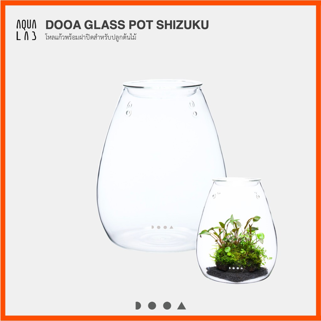 DOOA GLASS POT SHIZUKU โหลแก้วพร้อมฝาปิดสำหรับปลูกต้นไม้ - aqualabstore ...