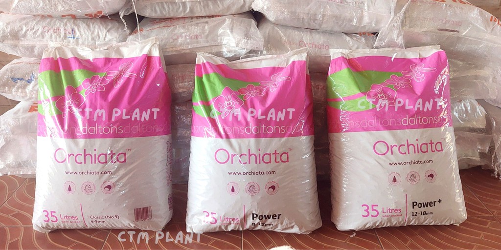 CTM Farm l CTM Plant, ร้านค้าออนไลน์ | Shopee Thailand