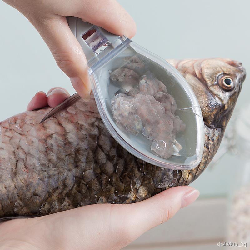 Useful Fishing Scale Brush Built in Fish Cutter Fish Skin Brush ...