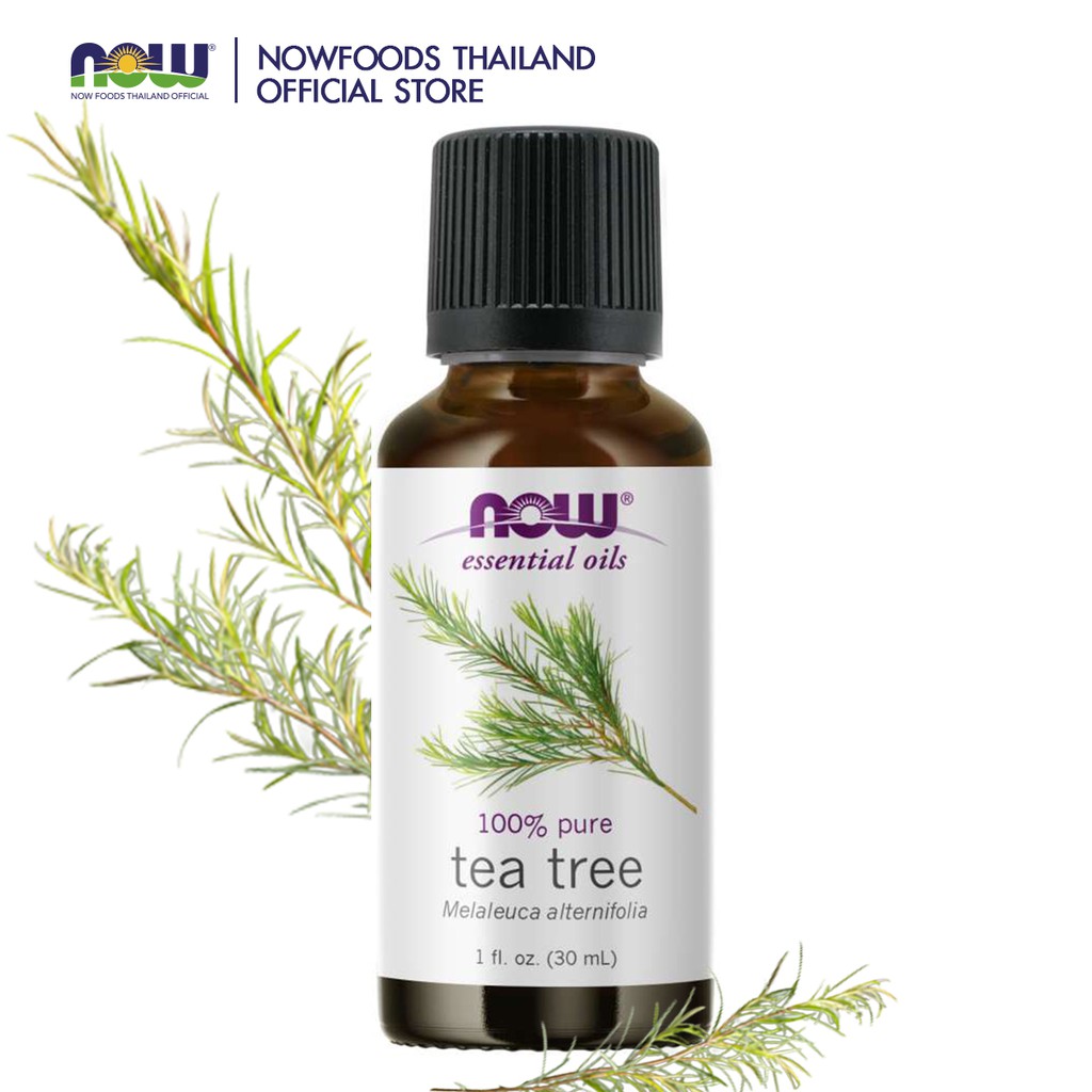 Now Tea Tree Essential Oil 100 Pure 30 mL (น้ำมันหอมระเหย ทีทรี ...