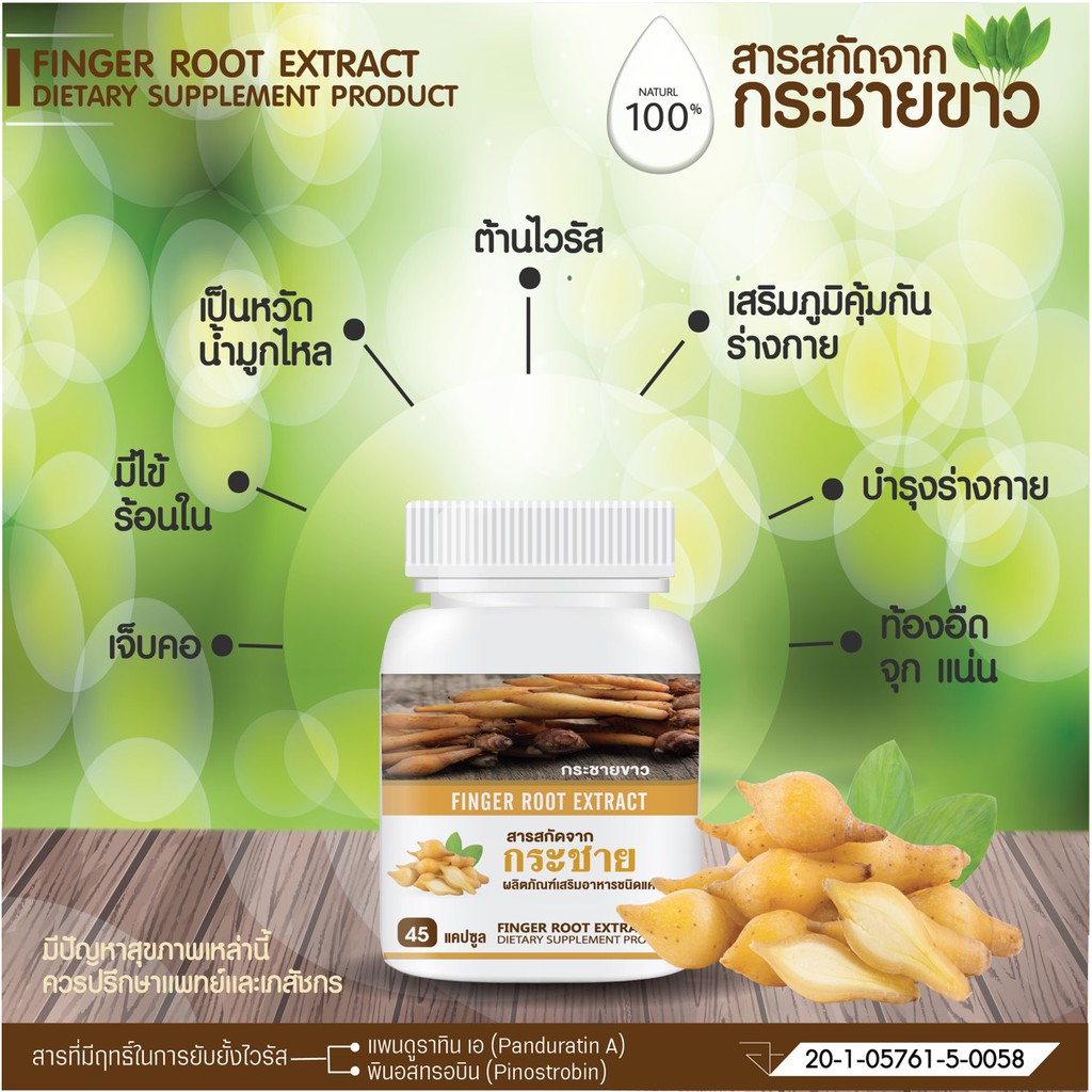 Finger Root Extract กระชายขาวสูตรเข้มข้น 290 มก.ต้านหวัดจากไวรัส เสริม ...