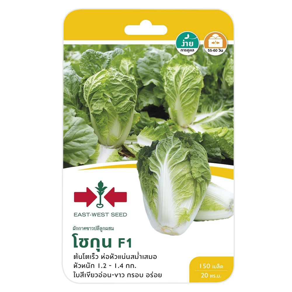 ผักกาดขาวปลี F1 โชกุน ศรแดง CHINESE CABBAGE SEED EAST-WEST SEED SHOGUN ...