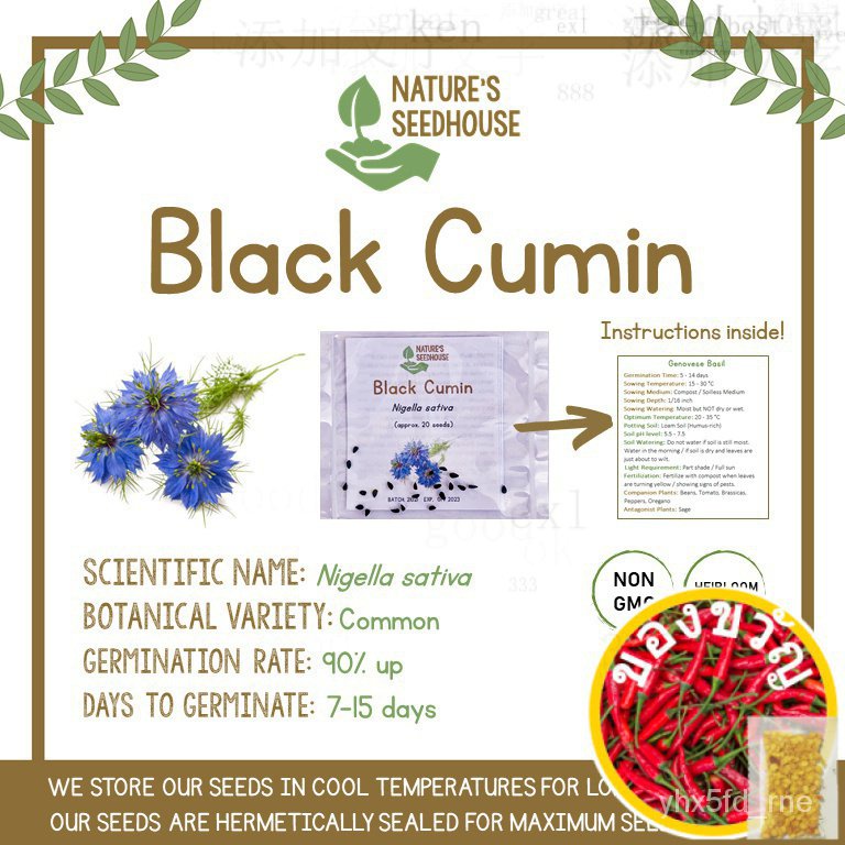Black Cumin Seeds Herb Seeds Flower Seeds Plant Seeds 生菜内裤儿童鲜花头饰上衣seeds ...