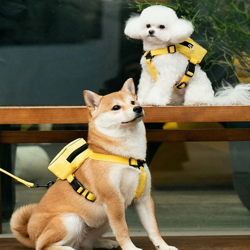 Moe Moe Pet Shop, ร้านค้าออนไลน์ | Shopee Thailand