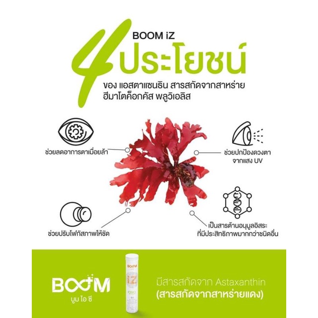 Boom IZ (บูม ไอซี) - nonyai45 - ThaiPick