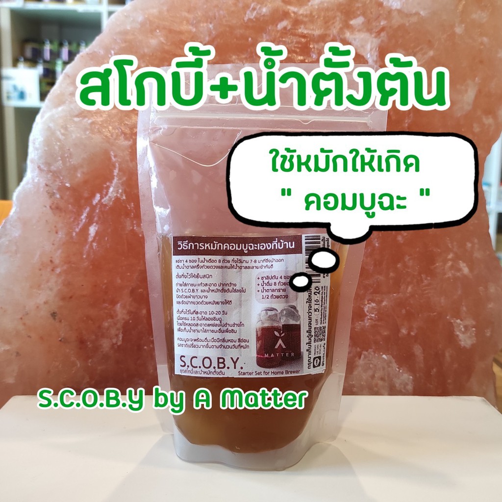 S.C.O.B.Y. สโกบี้และน้ำตั้งต้นพร้อมสูตรหมักคอมบูฉะ สกูบี้ SCOBY by A ...