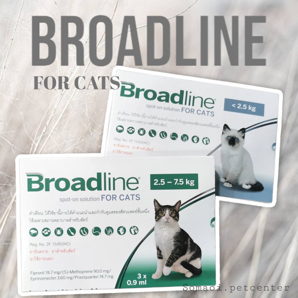 Broadline Spot on for cats หยอดหมัด เห็บ ขี้เรื้อน และถ่ายพยาธิในแมวมี ...