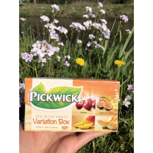 ชาผลไม้หลากรส ธรรมชาติแท้ 100 Pickwick Tea With Fruit Variation Box 100 ...