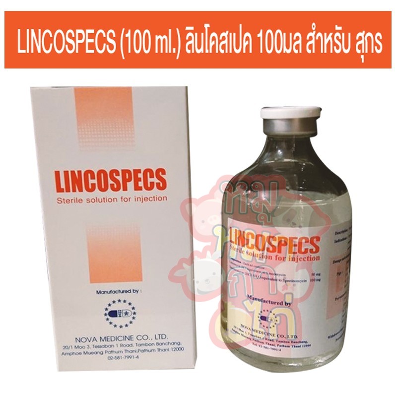 Lincospec ลินโคสเปคซ์ ลดการติดเชื้อสำหรับสัตว์ ขนาด 100ml ...