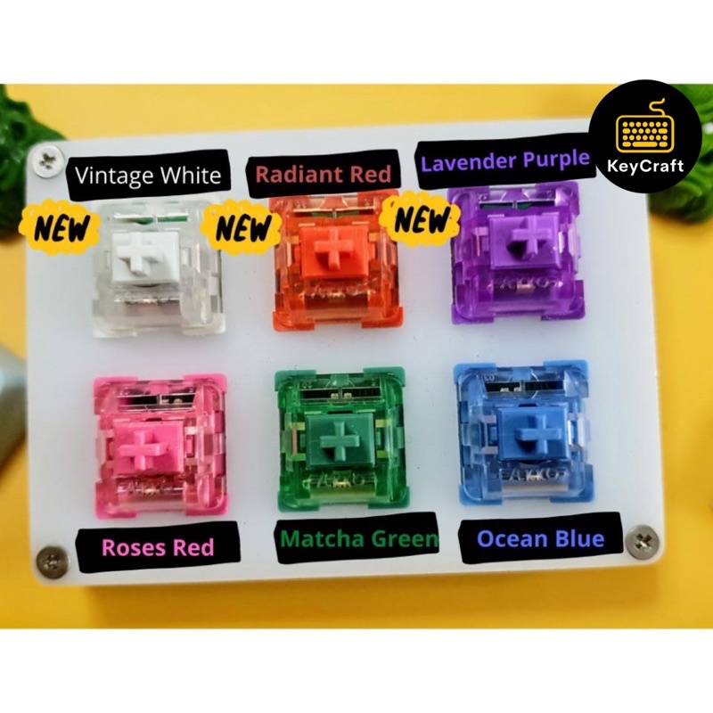 แพ็ค 5 เม็ดAkko CS และ Jelly Switches สวิทช์ราคาถูกมาก ลื่น เสียงดี มี ...