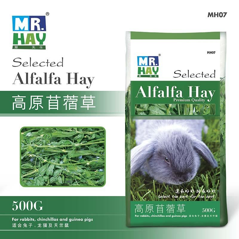 Mr.Hay Selected Alfalfa Hay หญ้าอัลฟาฟ่าเกรดพรีเมี่ยม (500 กรัม) สำหรับ ...