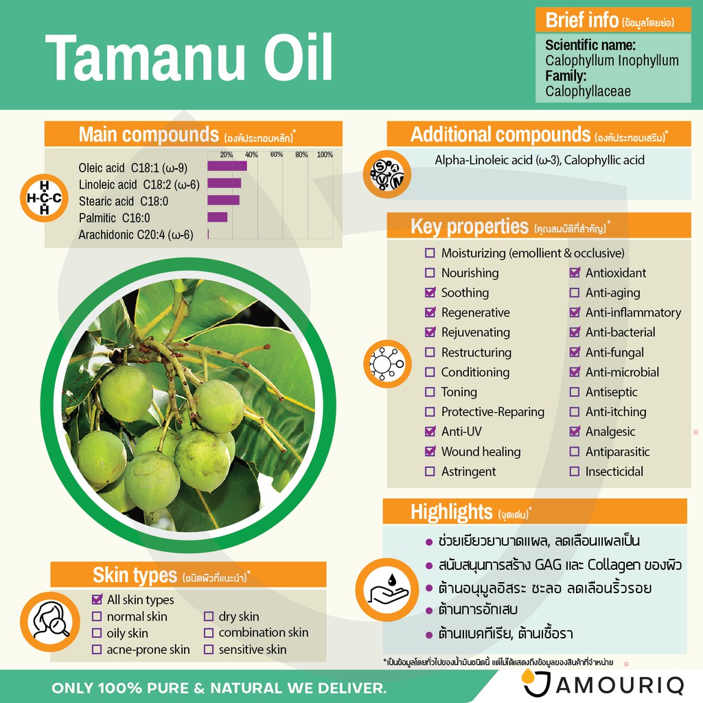 Tamanu Oil น้ำมันต้นกระทิง น้ำมันทามานู ออร์แกนิกบริสุทธิ์สกัดเย็น 100 ...
