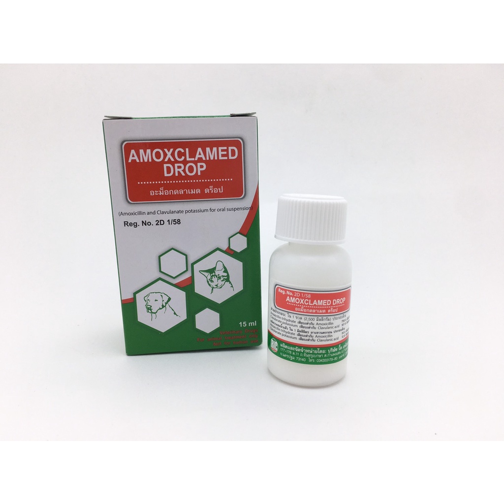 ลดการติดเชื้อในสุนัขและแมว Moxclavet drop 15ml . - morjunepetshop ...
