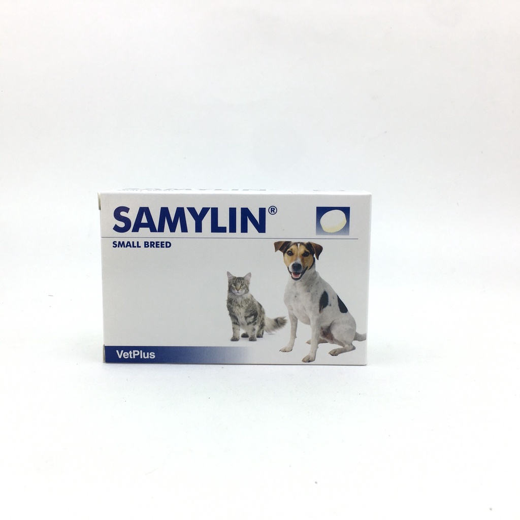 Samylin Hepatic Protector for Large Dogs 30 Tablets บำรุงตับ - artytal ...