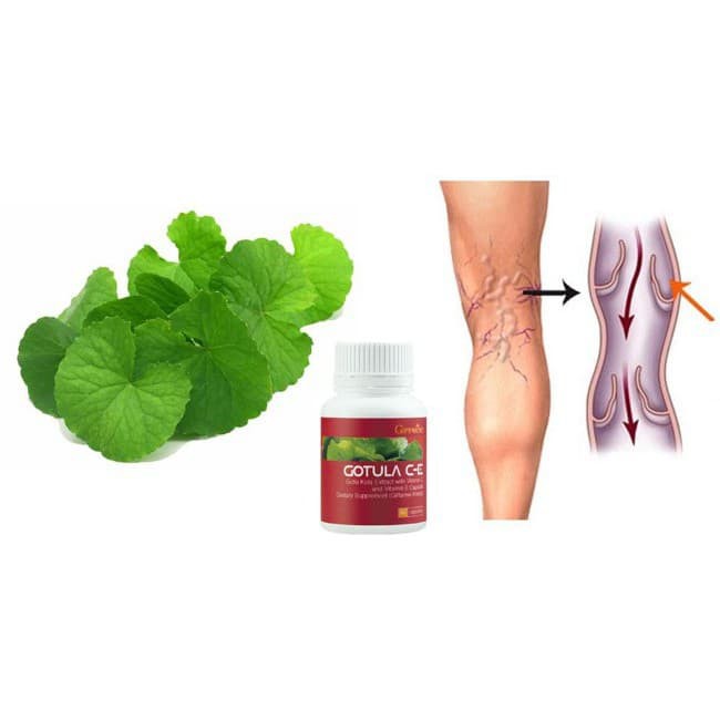 โกตูล่า ซี-อี Gotula C-E (60 แคปซูล) สารสกัดจากใบบัวบก ใบบัวบก บรรเทา ...