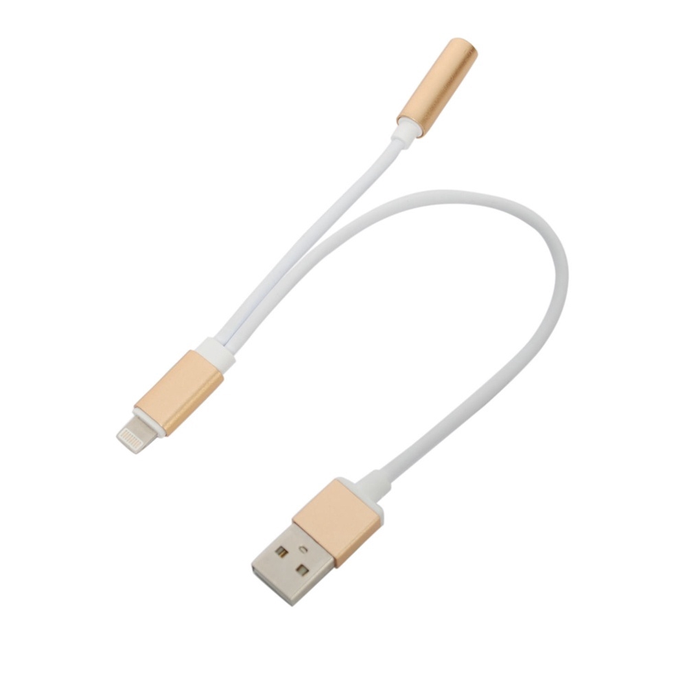 Lightning to 3.5mm Earphone Jack Audio Adapter with USB Charger Cable ...