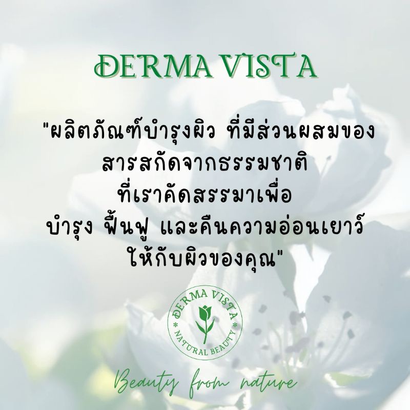 Derma Vista Emerald Green Clarifying Facial Soap สบู่ล้างหน้า สบู่กลีเ ...