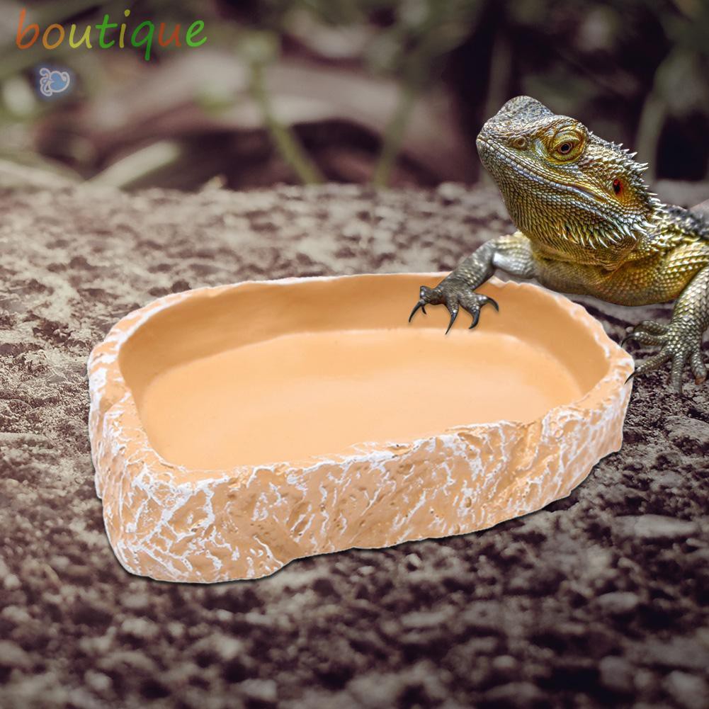 bou-stock Resin Lizards Gecko Reptiles Bowl Basin Food Container Feeder ...