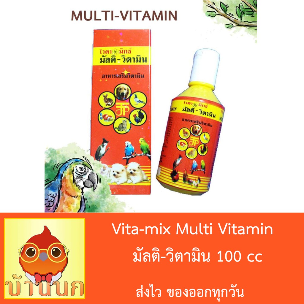 Vita-mix Multi Vitamin ไวตามิกซ์ มัลติ-วิตามิน 100 cc | Shopee Thailand