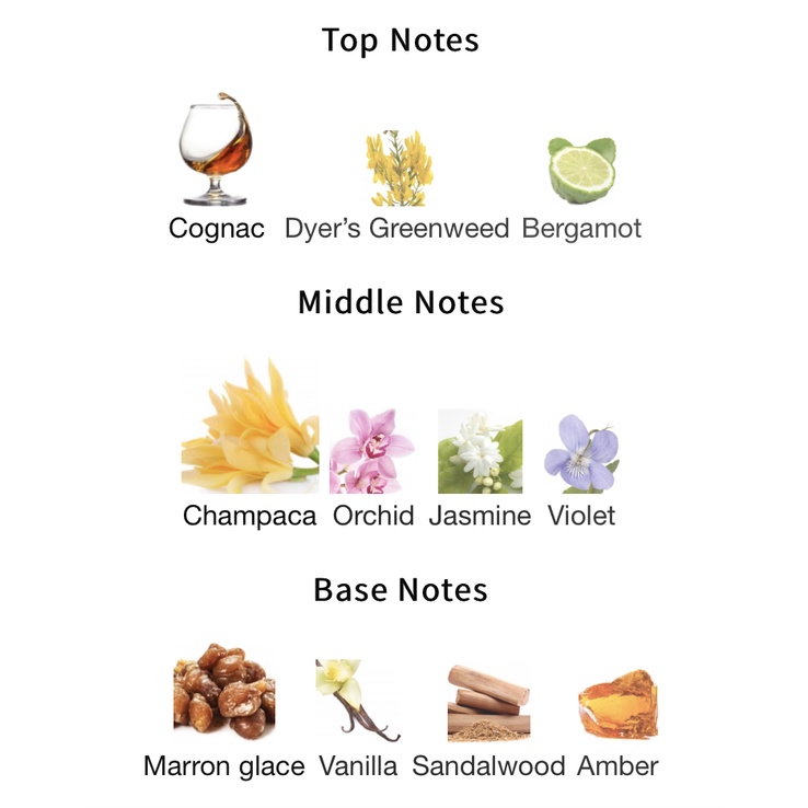 TOM FORD Champaca Absolute edp 5ml - 10ml นำ้หอมแท้แบ่งขาย - weebaba ...